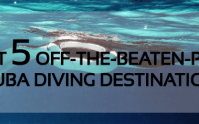 Scuba Diving Reviews & Best sites where to dive next!