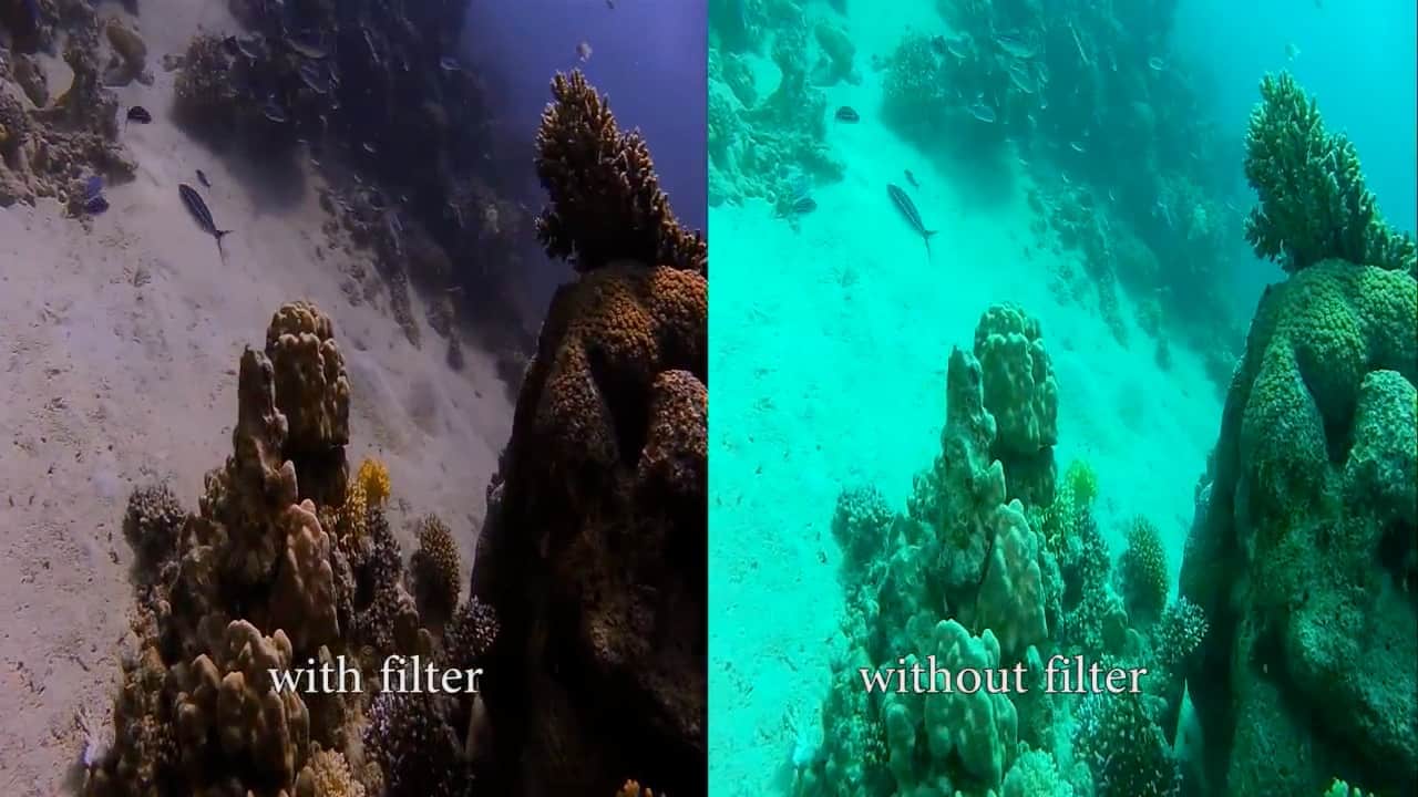 Polar Pro Filter Cube Red Filter Hero 3 Review – Scuba Diving Reviews ...
