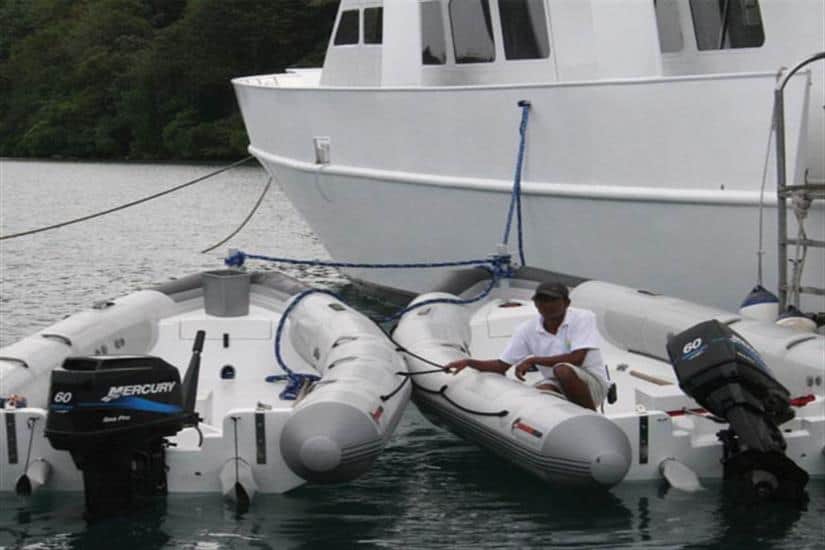 MV Atlantis Azores Liveaboard Review – Anilao, Batangas, Bohol Island ...