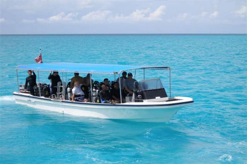 MV Palau Aggressor II Liveaboard Review – Micronesia, Palau, Palau ...