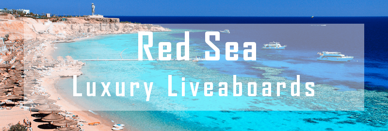 Luxury Liveaboard Red Sea – Divezone