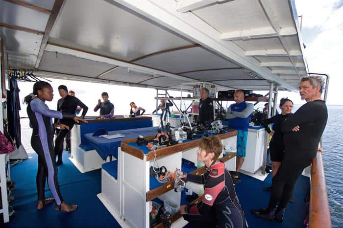 MV FeBrina Liveaboard Review – Papua New Guinea, Dive Boat Reviews