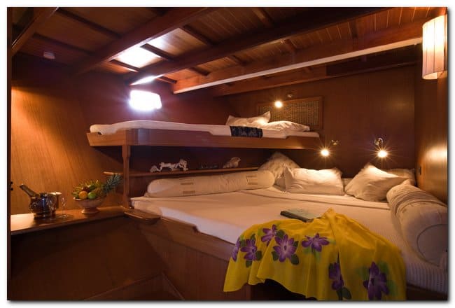 MV Ocean Divine Liveaboard Review – Maldives, Dive Boat Reviews