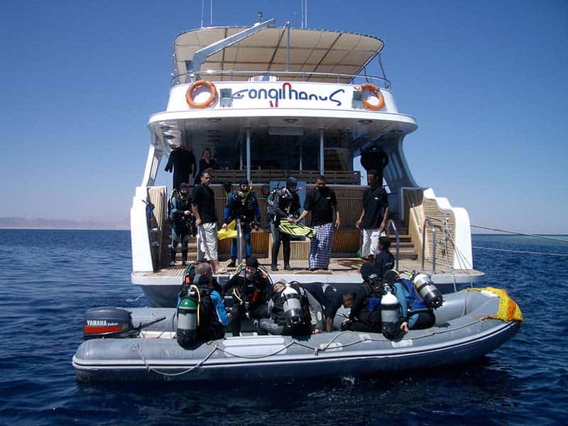 Longimanus Liveaboard Review – Red Sea, Dive Boat Reviews