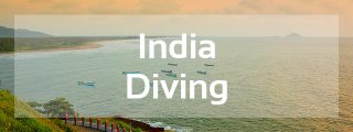 Best Diving sites in India – Indian Ocean Scuba dive reviews by Divezone