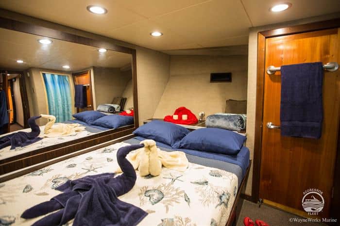 Roatan Aggressor Liveaboard Review – Bay Islands, Honduras, Honduras ...