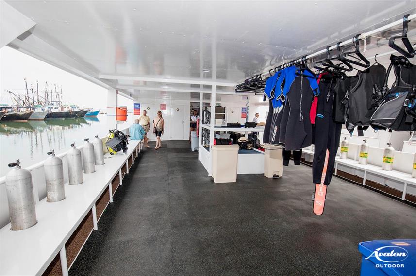 Jardines Avalon IV Liveaboard Review – Cuba, Caribbean Dive Boat Reviews