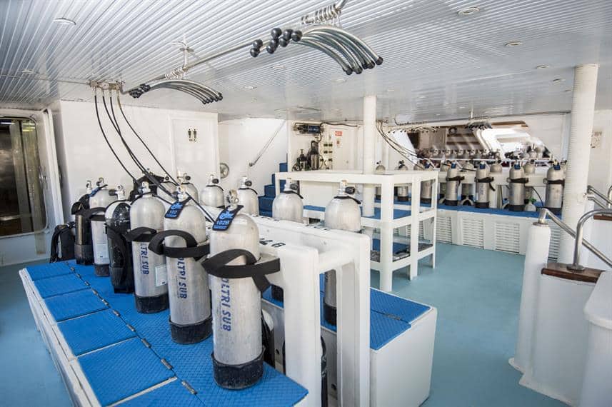 Red Sea RE Aggressor Liveaboard Review – Red Sea, Dive Boat Reviews