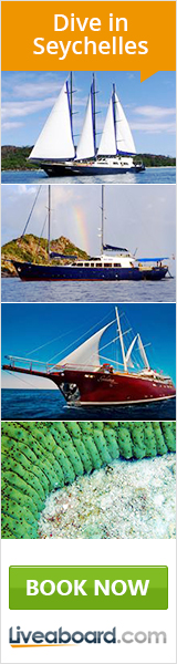 Best Diving sites in Seychelles – Indian Ocean Scuba dive reviews by ...
